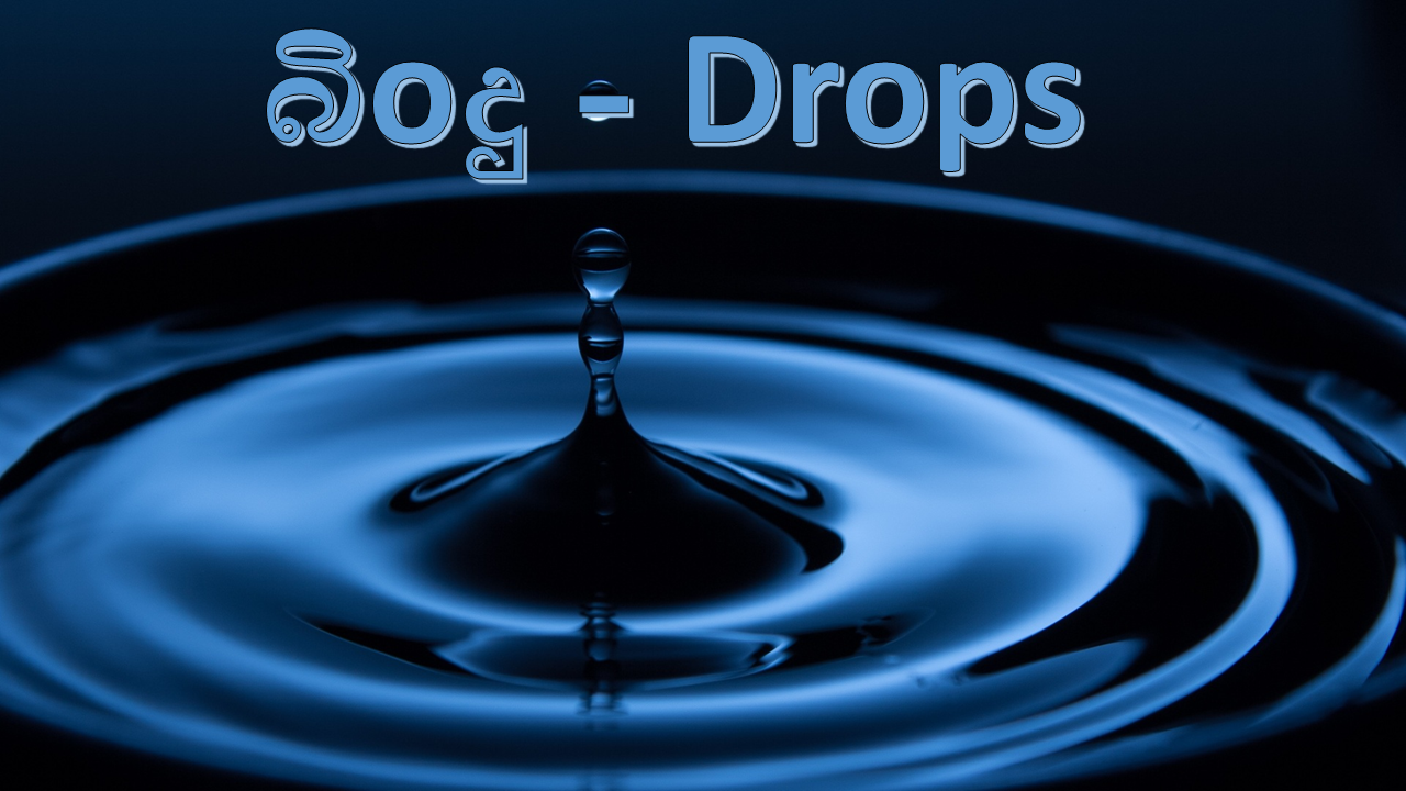 Bindu – Drops – Youth for Water and Climate